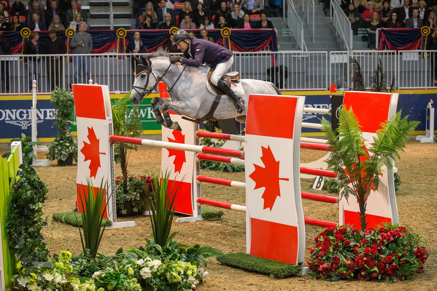 Olympians Tiffany Foster and Amy Millar Headline Canadian Contingent at ...