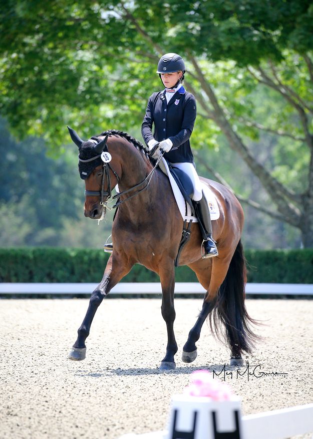 Klepper Elevates to Gold Winning USDF North American Junior Dressage ...